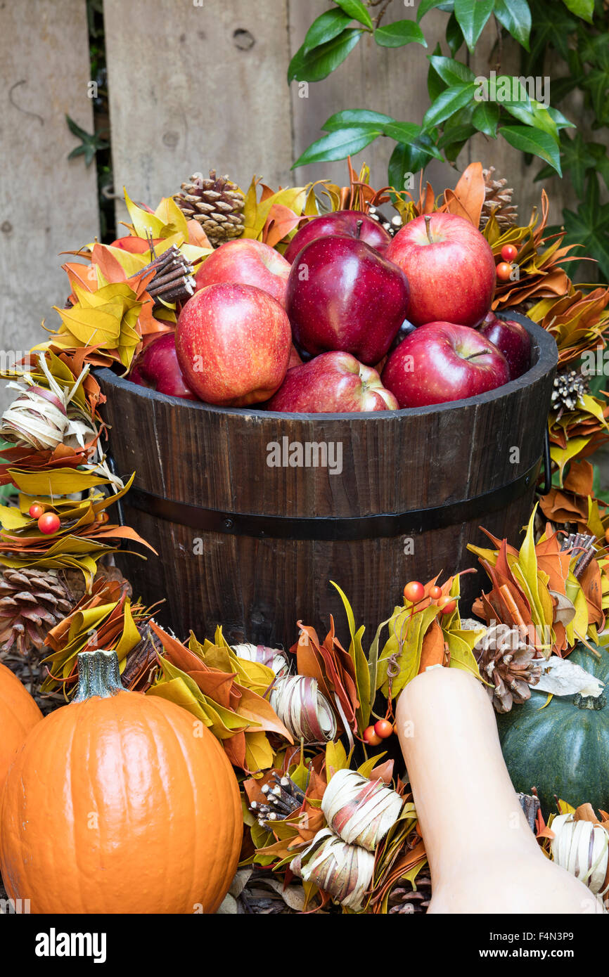 Bucket of apples hi-res stock photography and images - Alamy