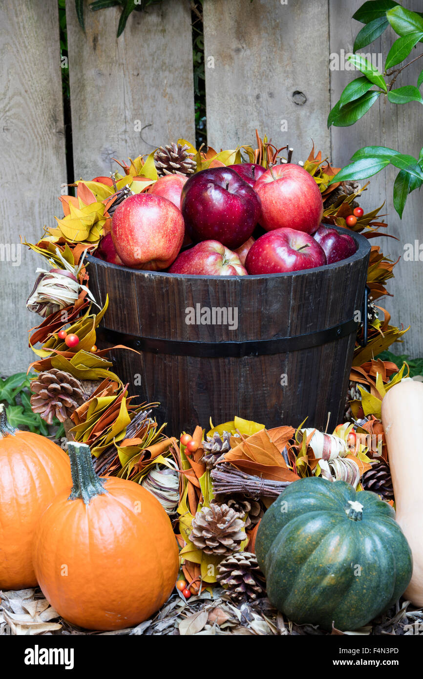 Bucket with apples and pumpkins in an autumn decoration in orange, red ...