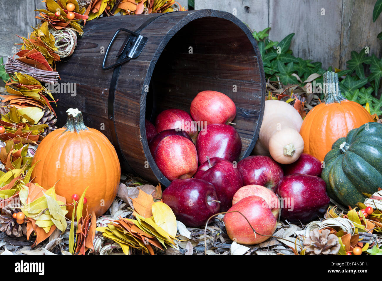 Bucket of apples hi-res stock photography and images - Alamy