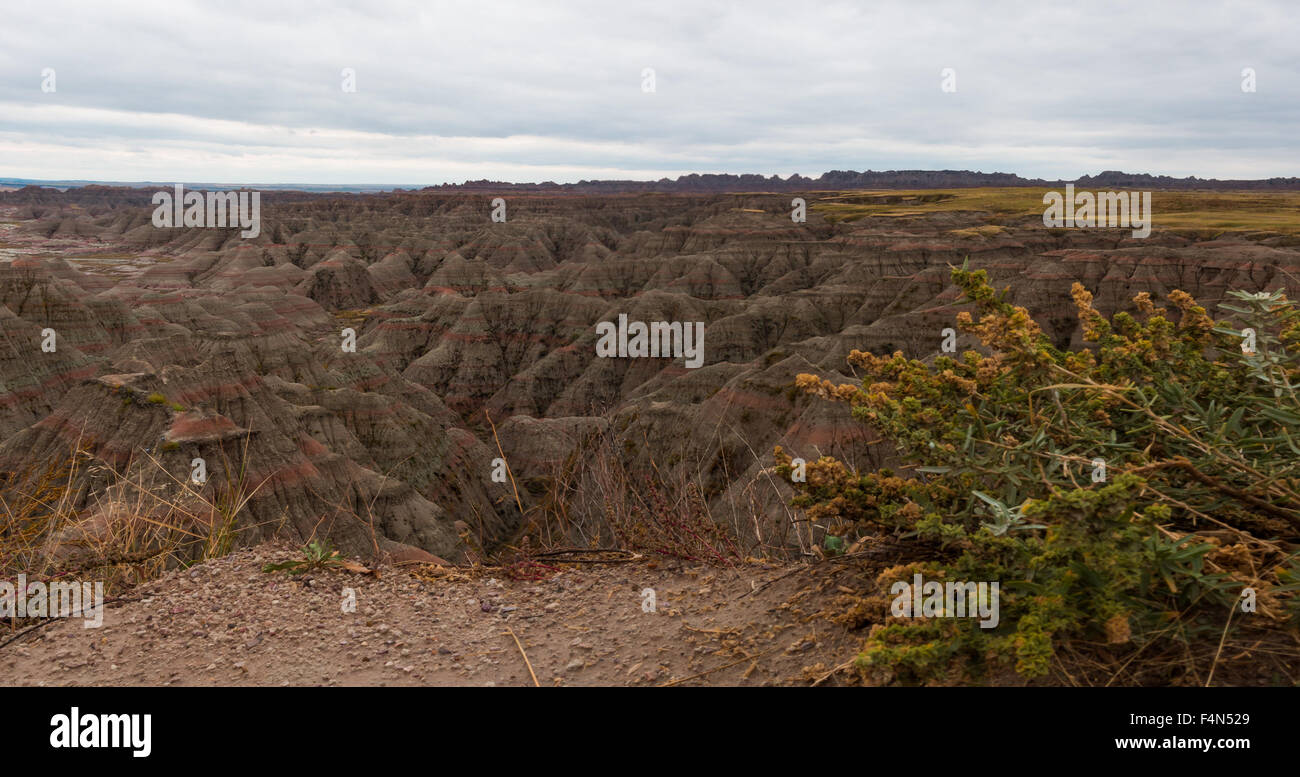 Dynamic Landscap photo shows badlands with bush in foreground and gray ...