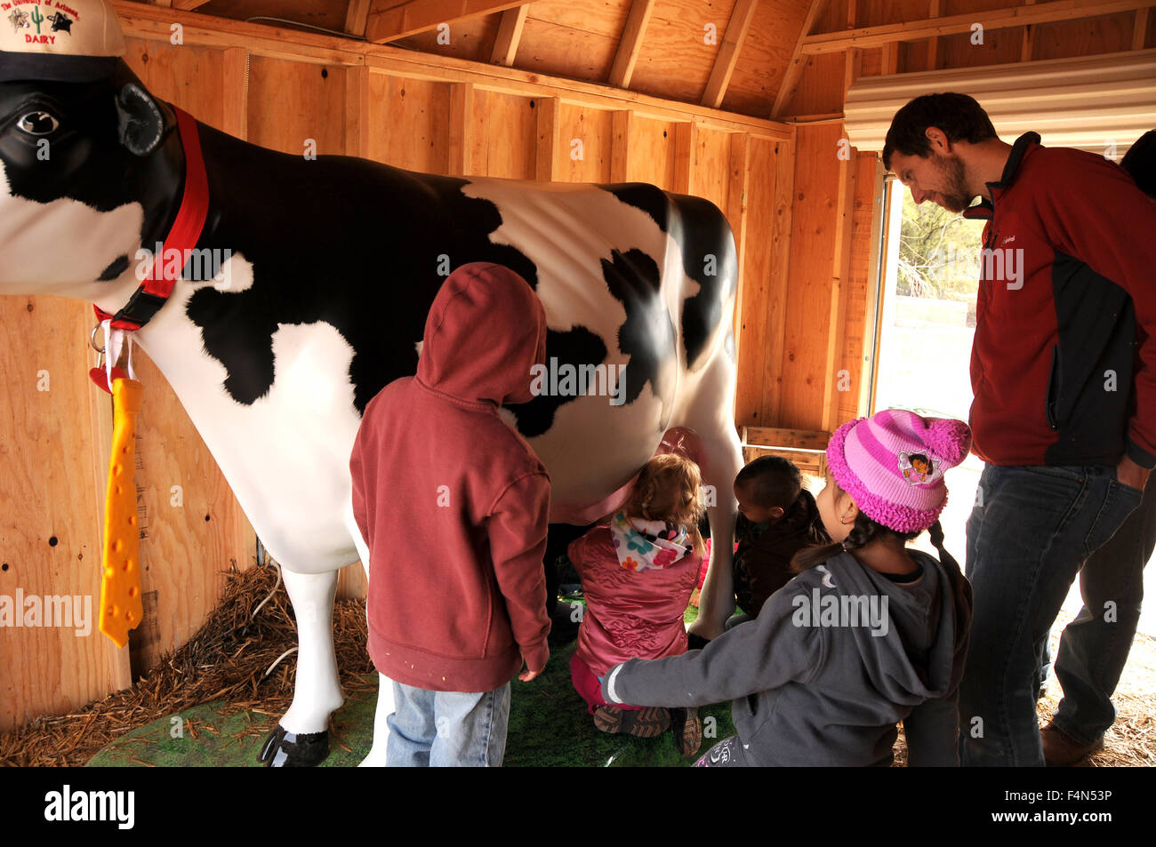 Children Milking Cow Stock Photos & Children Milking Cow Stock Images - Alamy