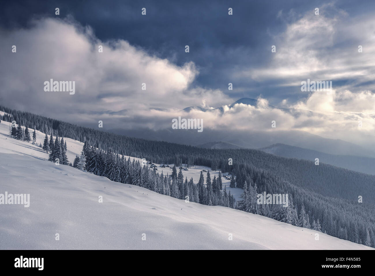 Fantastic winter landscape with snowy trees. Carpathians, Ukraine ...