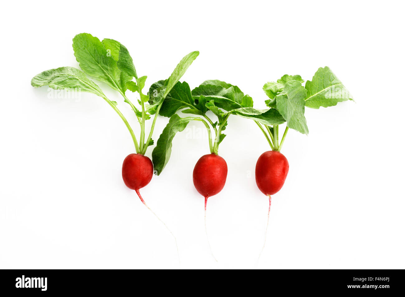 Three red radishes in front of white background Stock Photo - Alamy