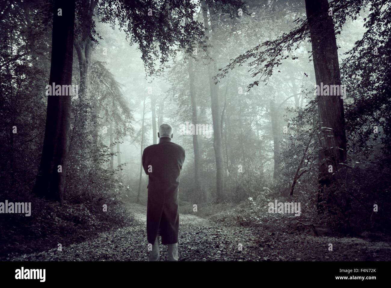Man on forest path Stock Photo - Alamy
