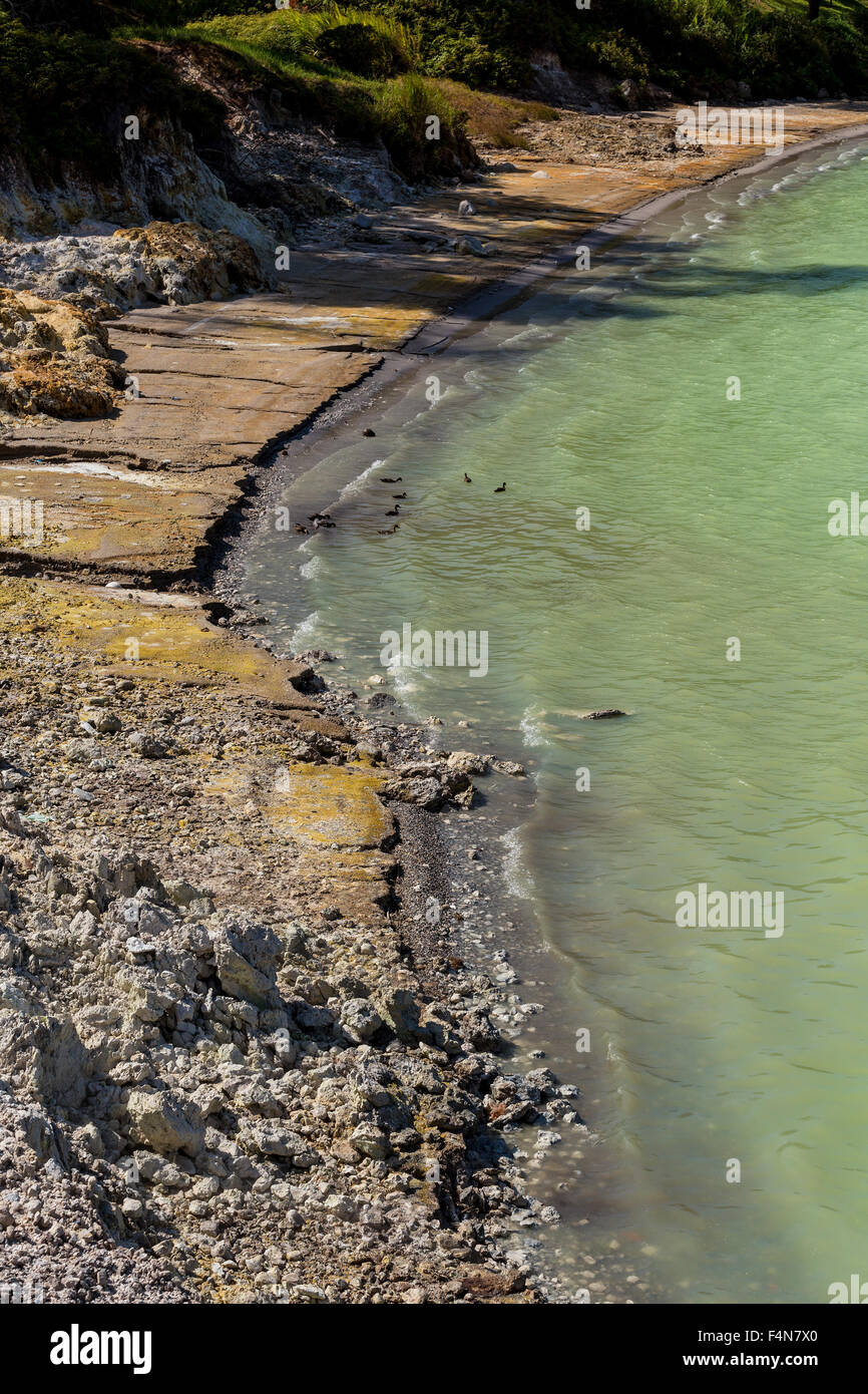 Famous tourist attraction sulphurous lake - Danau Linow, North Sulawesi ...