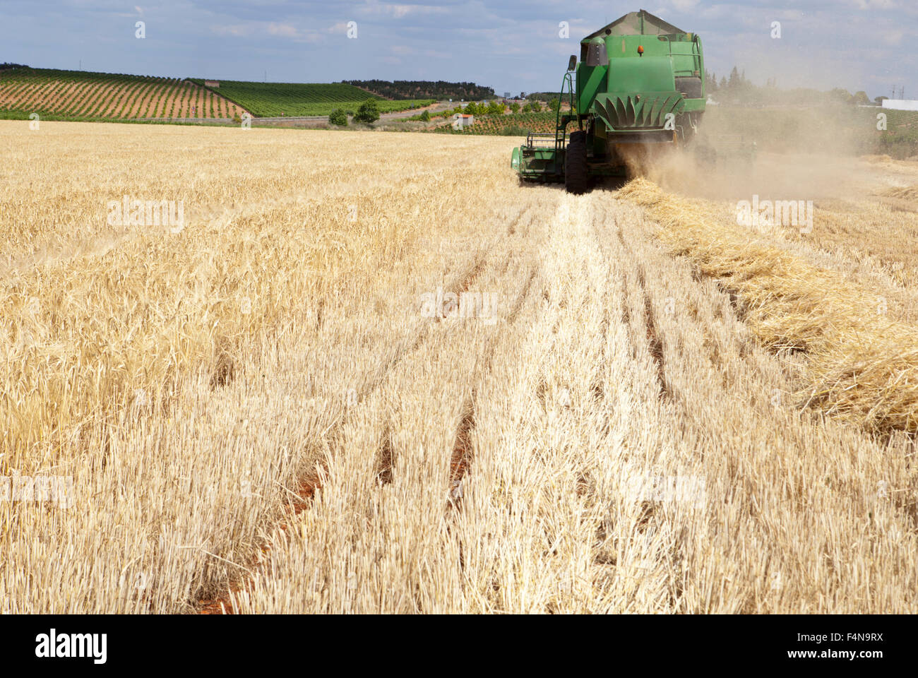 Green combine harvester on a barley field with a blue cloudy sky ...