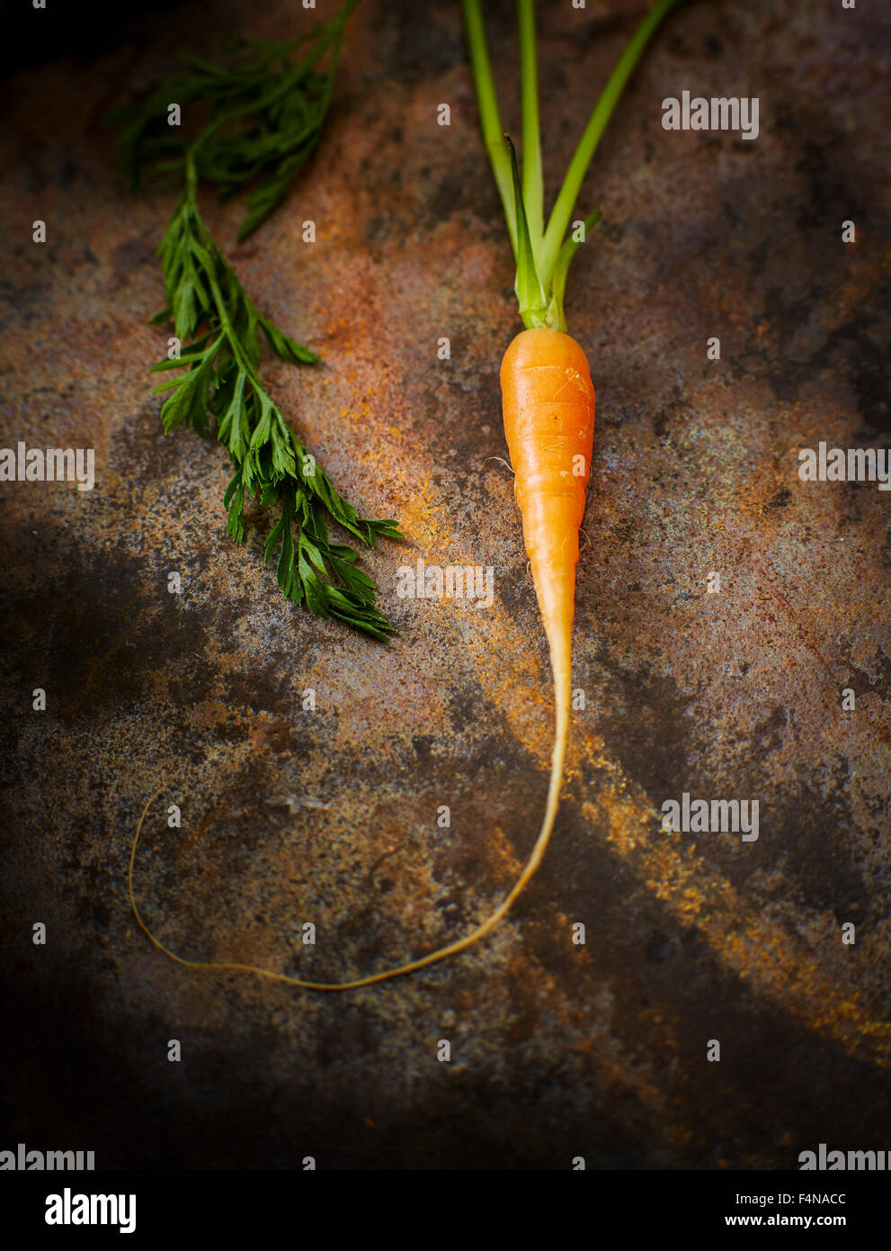 Dotted small hi-res stock photography and images - Alamy