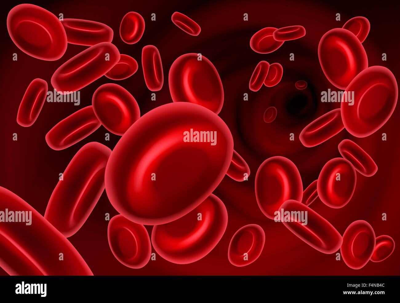 A vector illustration of red blood cells flowing in a vein or artery ...