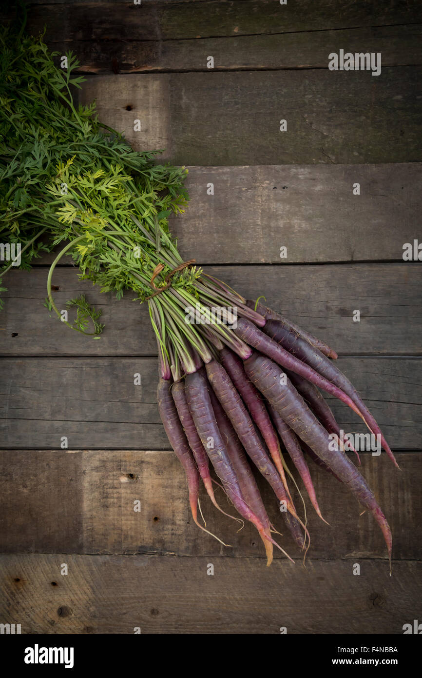 Purple Haze High Resolution Stock Photography and Images - Alamy