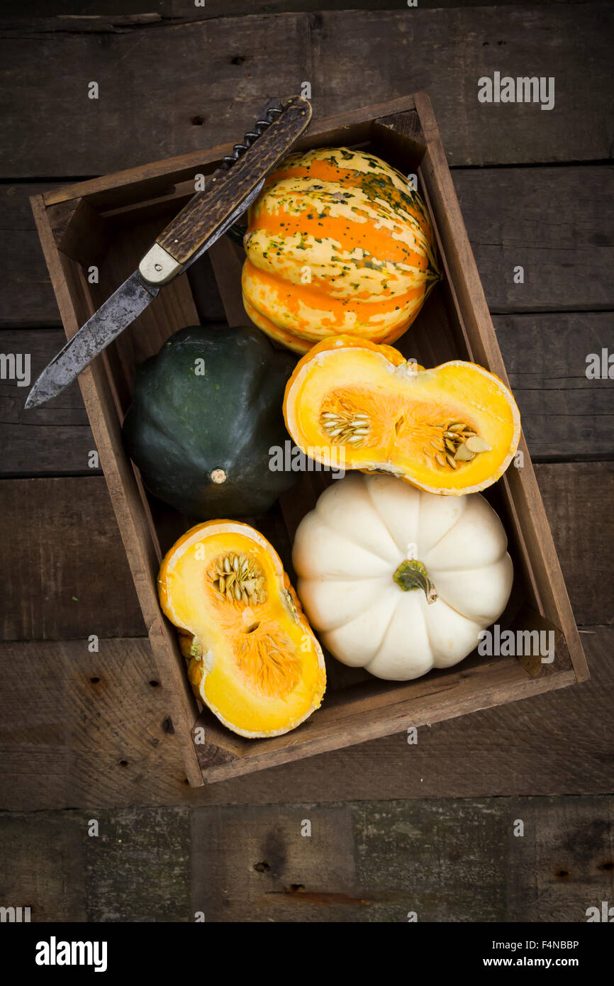 Wooden box of different sorts of mini squashes on wood Stock Photo - Alamy