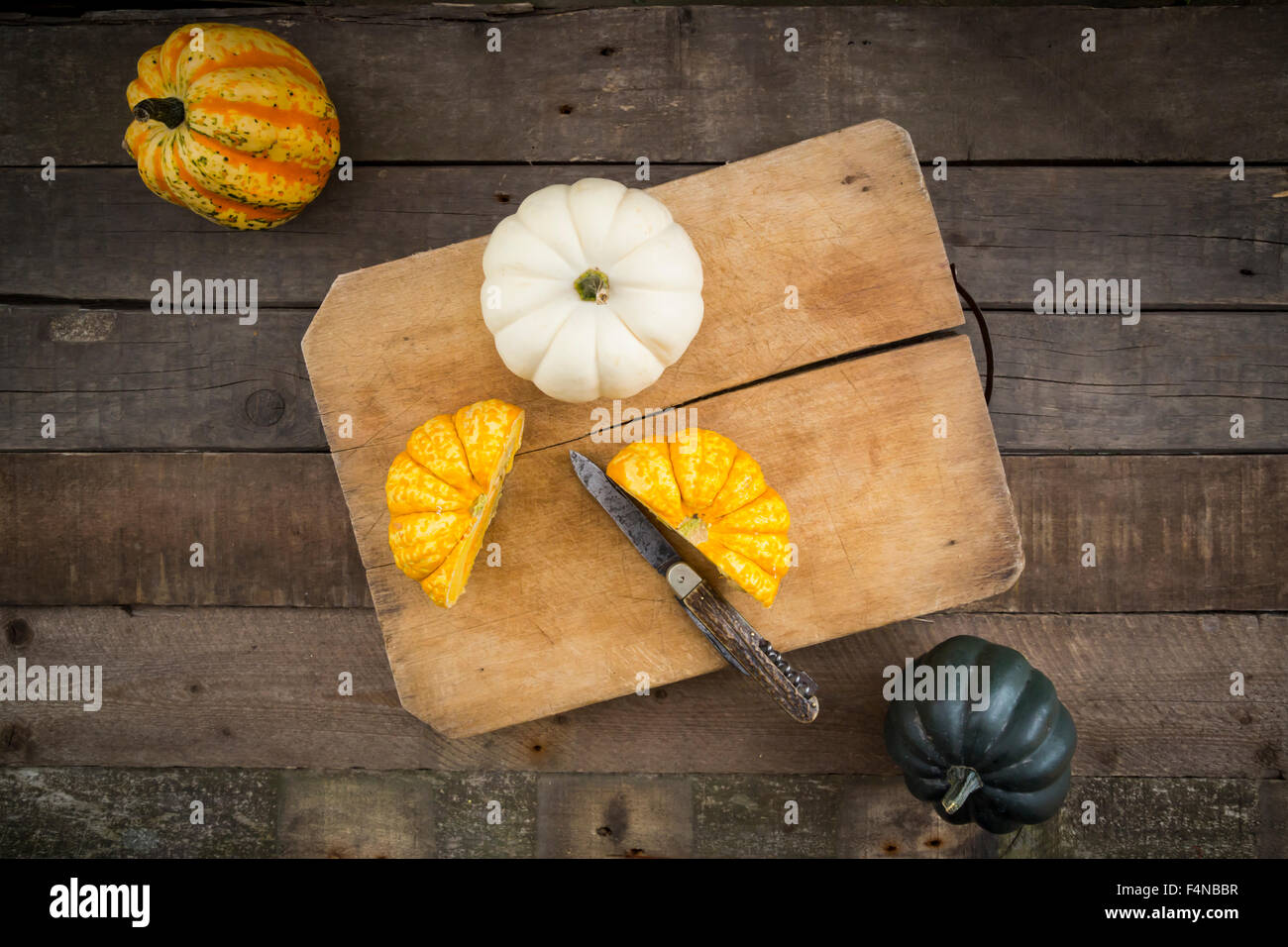 Different sorts of mini squashes Stock Photo - Alamy