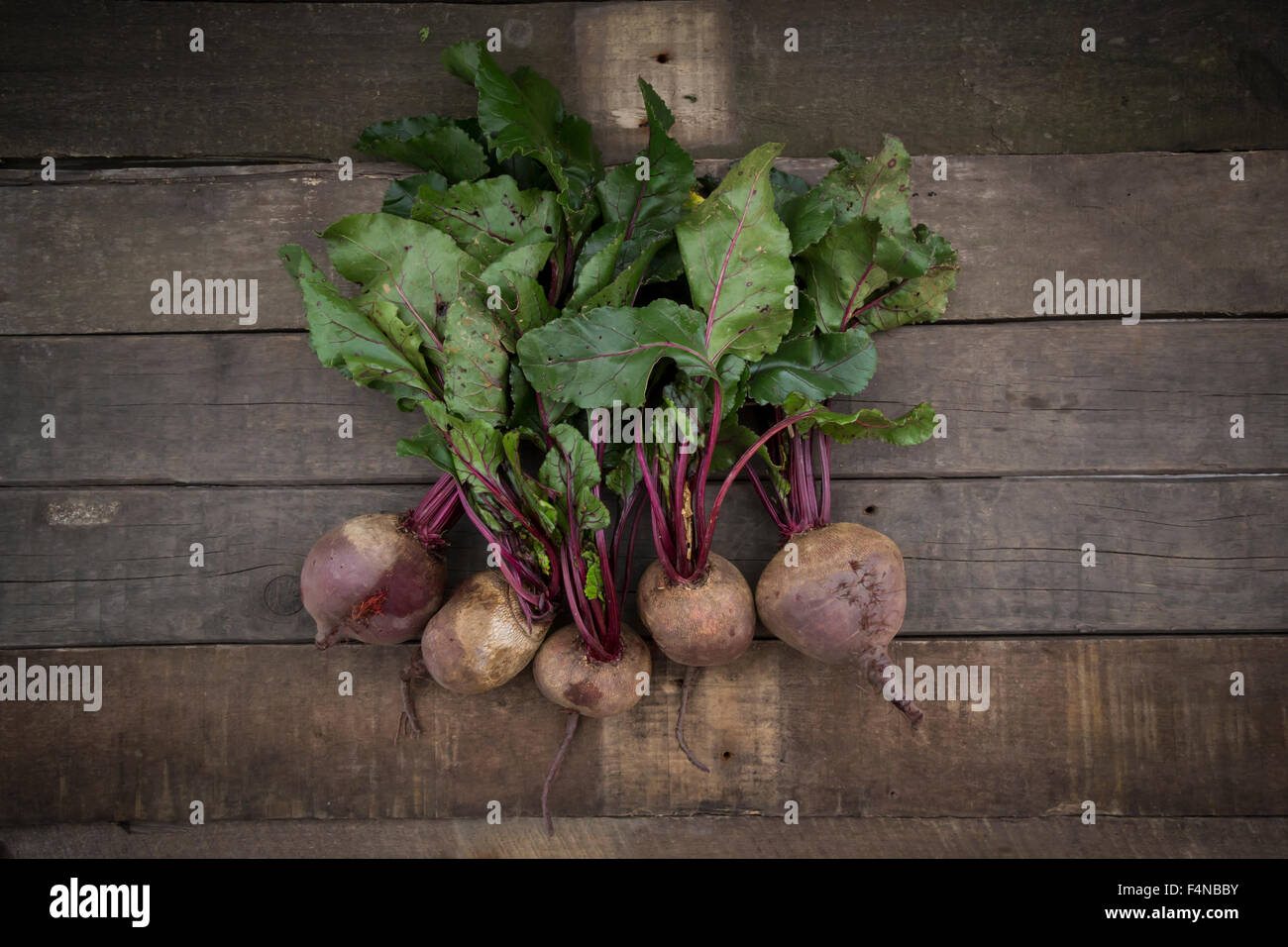 Row of five organic beetroots on dark wood Stock Photo - Alamy