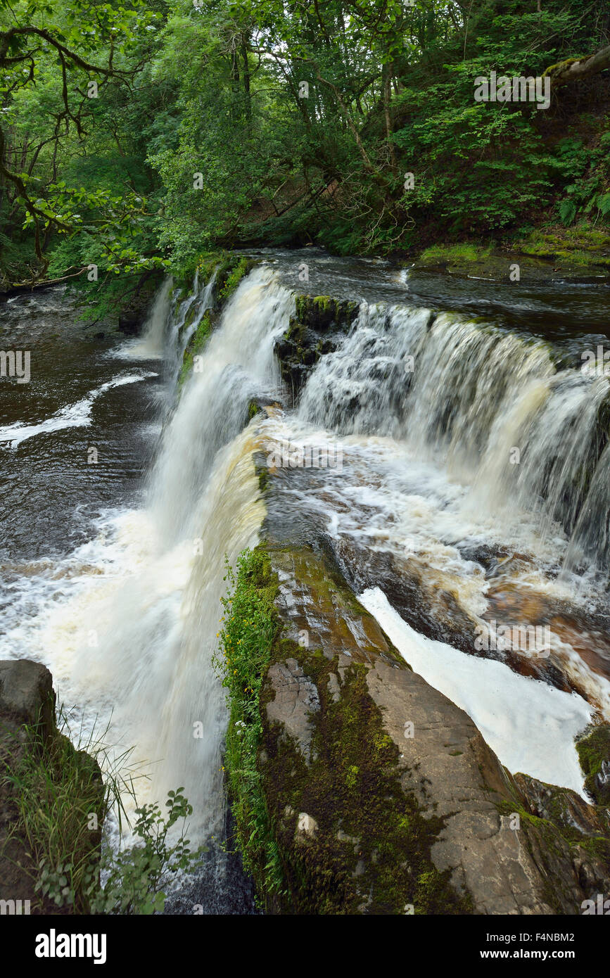 Sgwd y Pannwr, one of the four main waterfalls on the Afon Mellte River ...