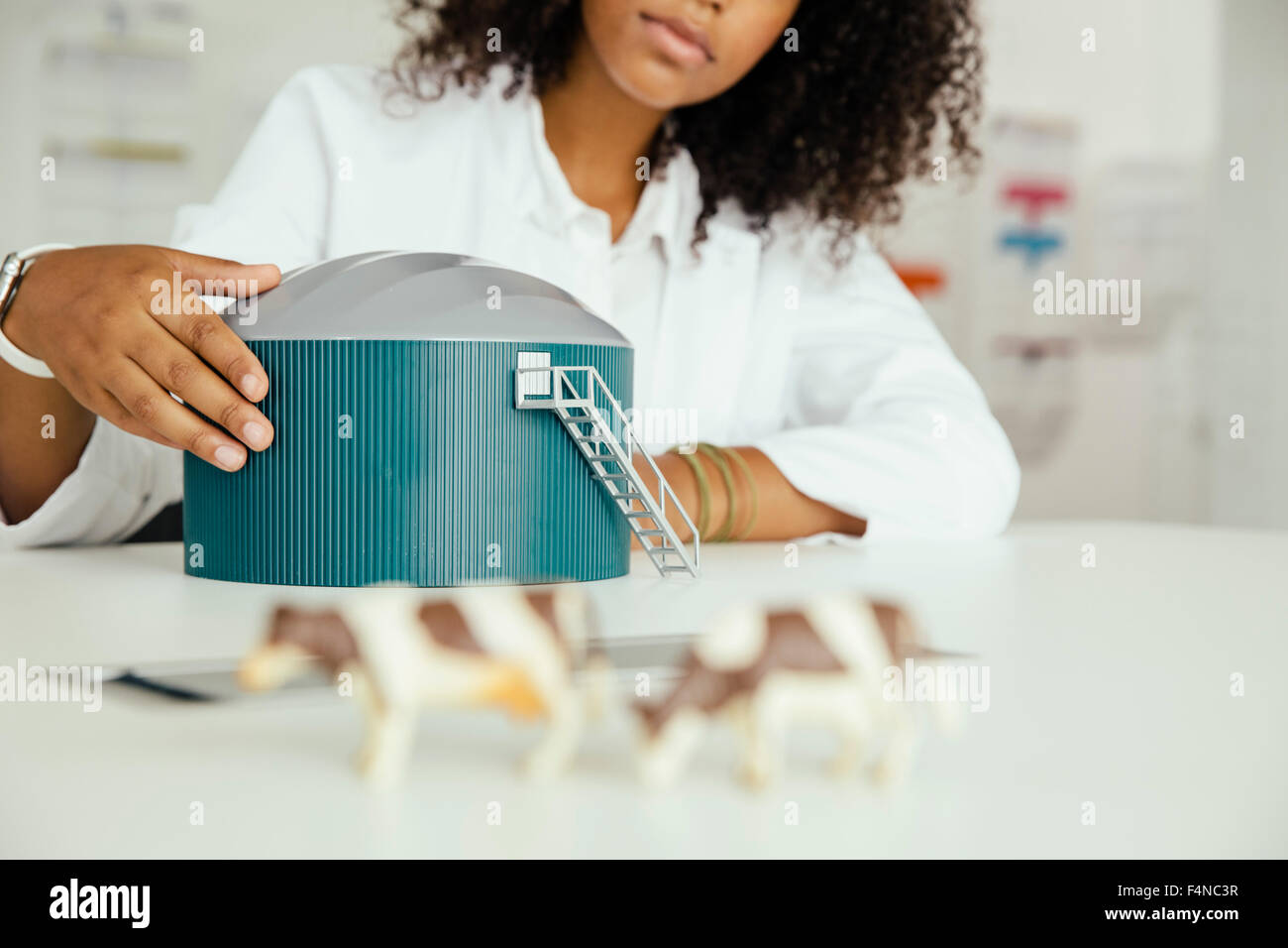 Scientist with biogas plant model in lab Stock Photo - Alamy
