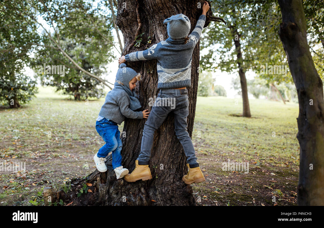 Back view of two little boys climbing on a tree Stock Photo - Alamy