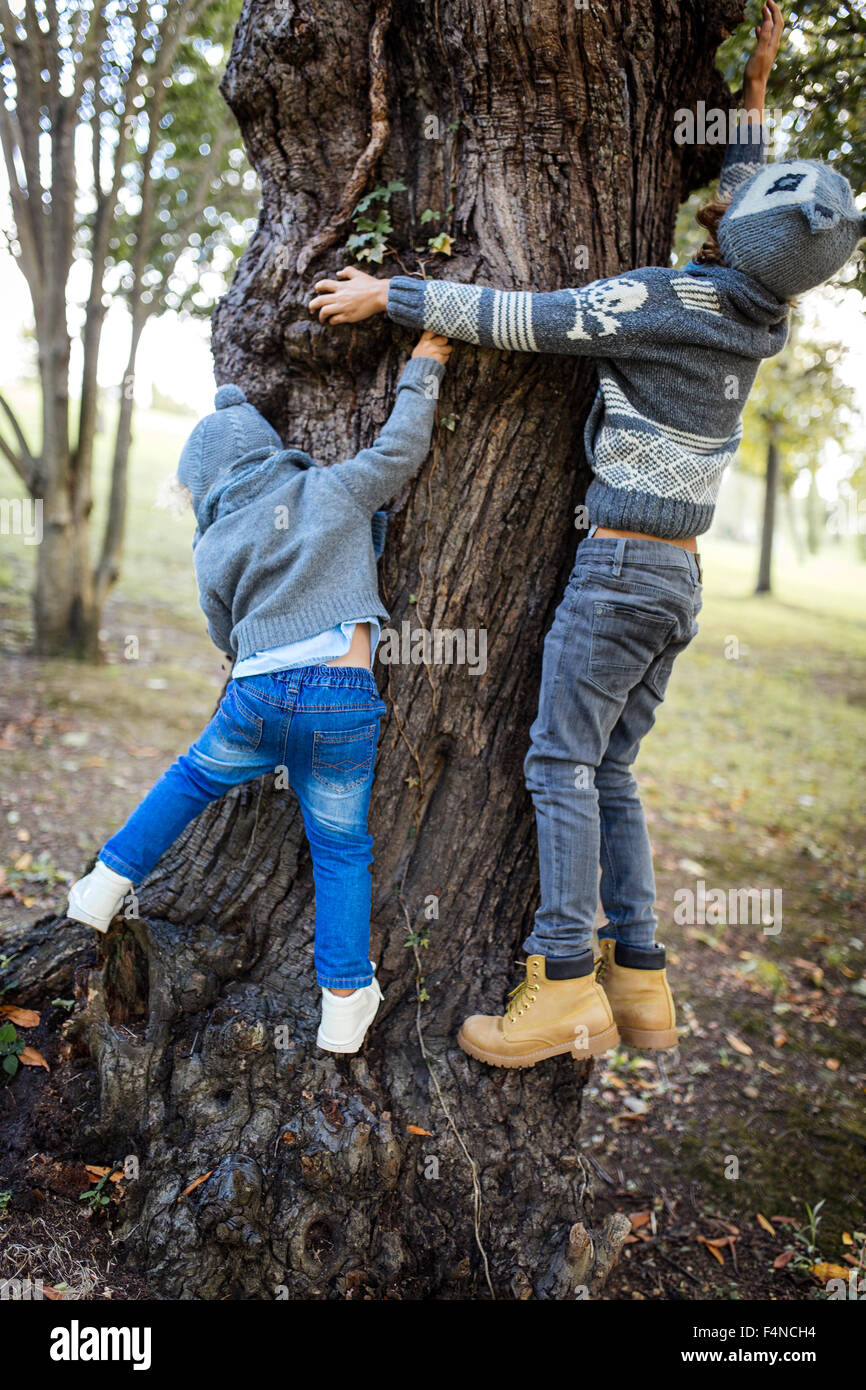 Back view of two little boys climbing on a tree trunk Stock Photo - Alamy