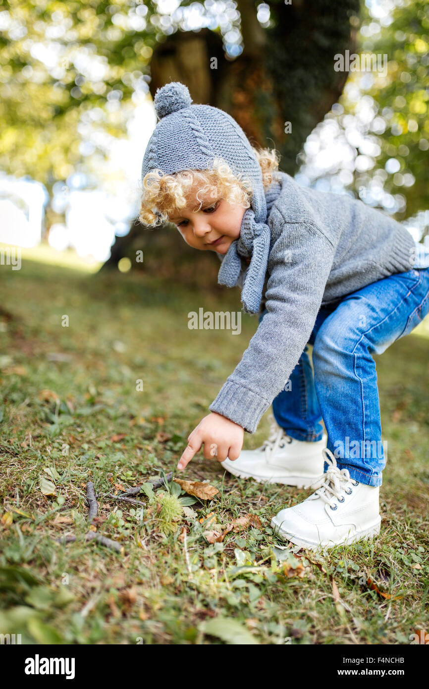 Child sweet chestnut tree hi-res stock photography and images - Alamy