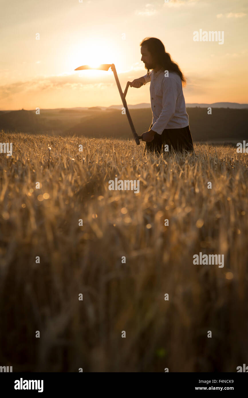 Scythe field hi-res stock photography and images - Alamy