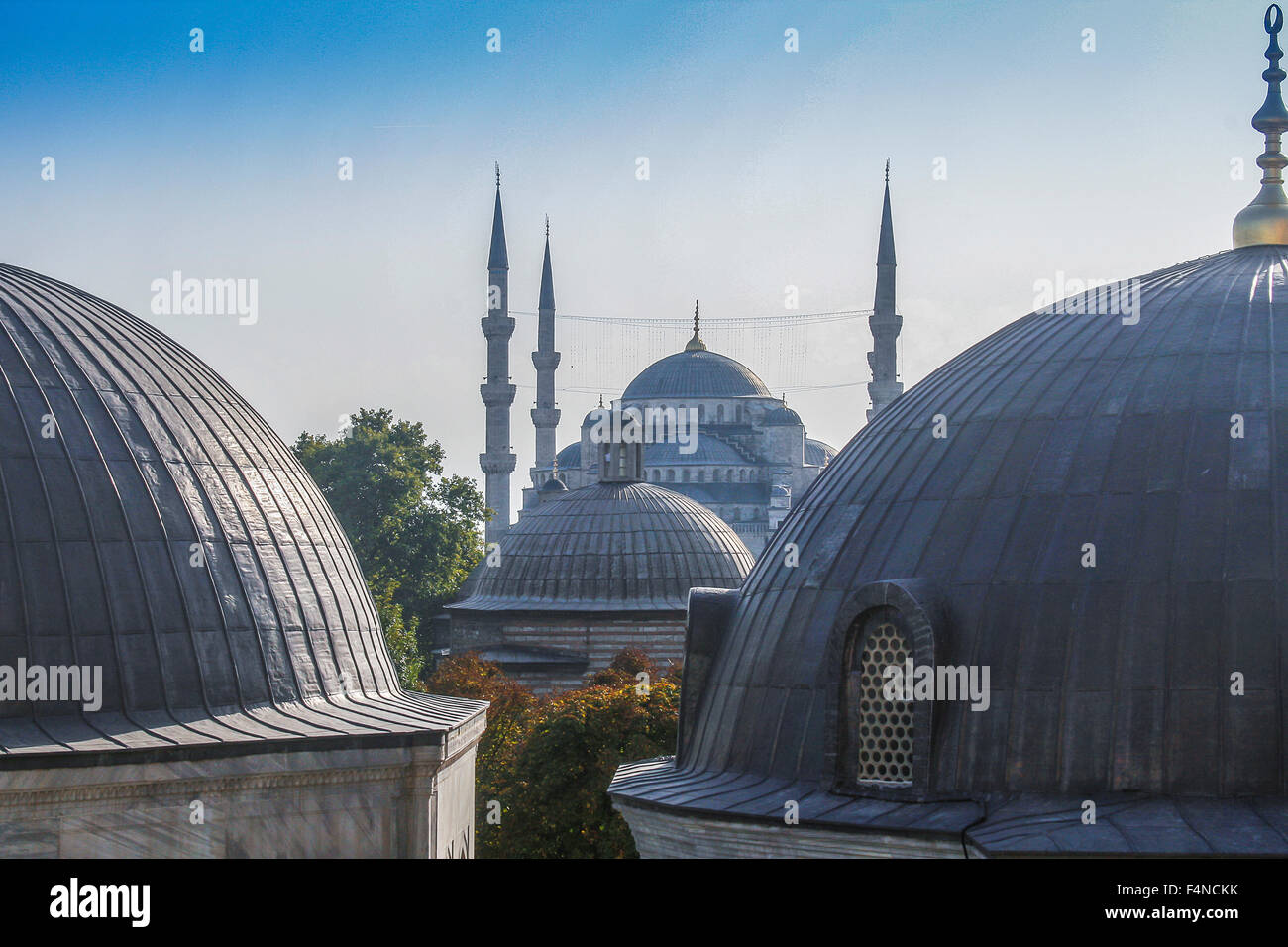 Blue mosque with view on domes Stock Photo - Alamy