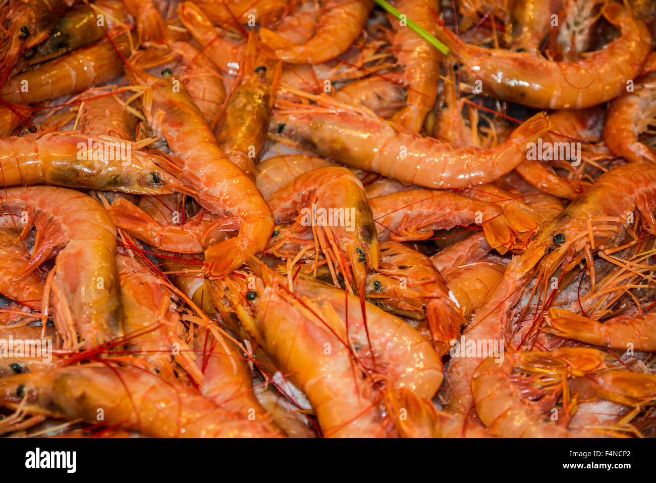 Full frame background of whole fresh pink prawns or shrimps for use in ...