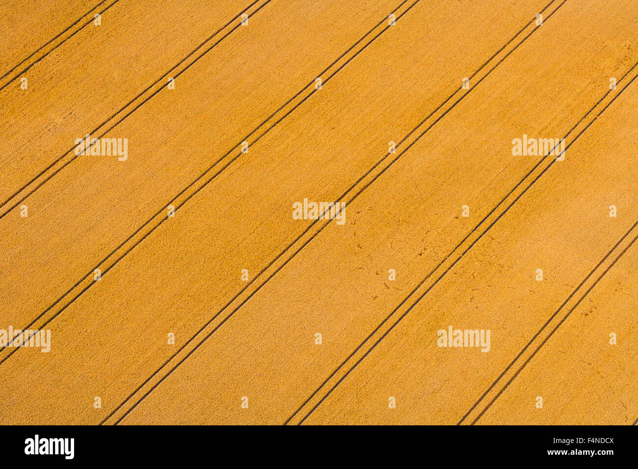 Germany, Bavaria, Field with tractor tracks, aerial view Stock Photo ...