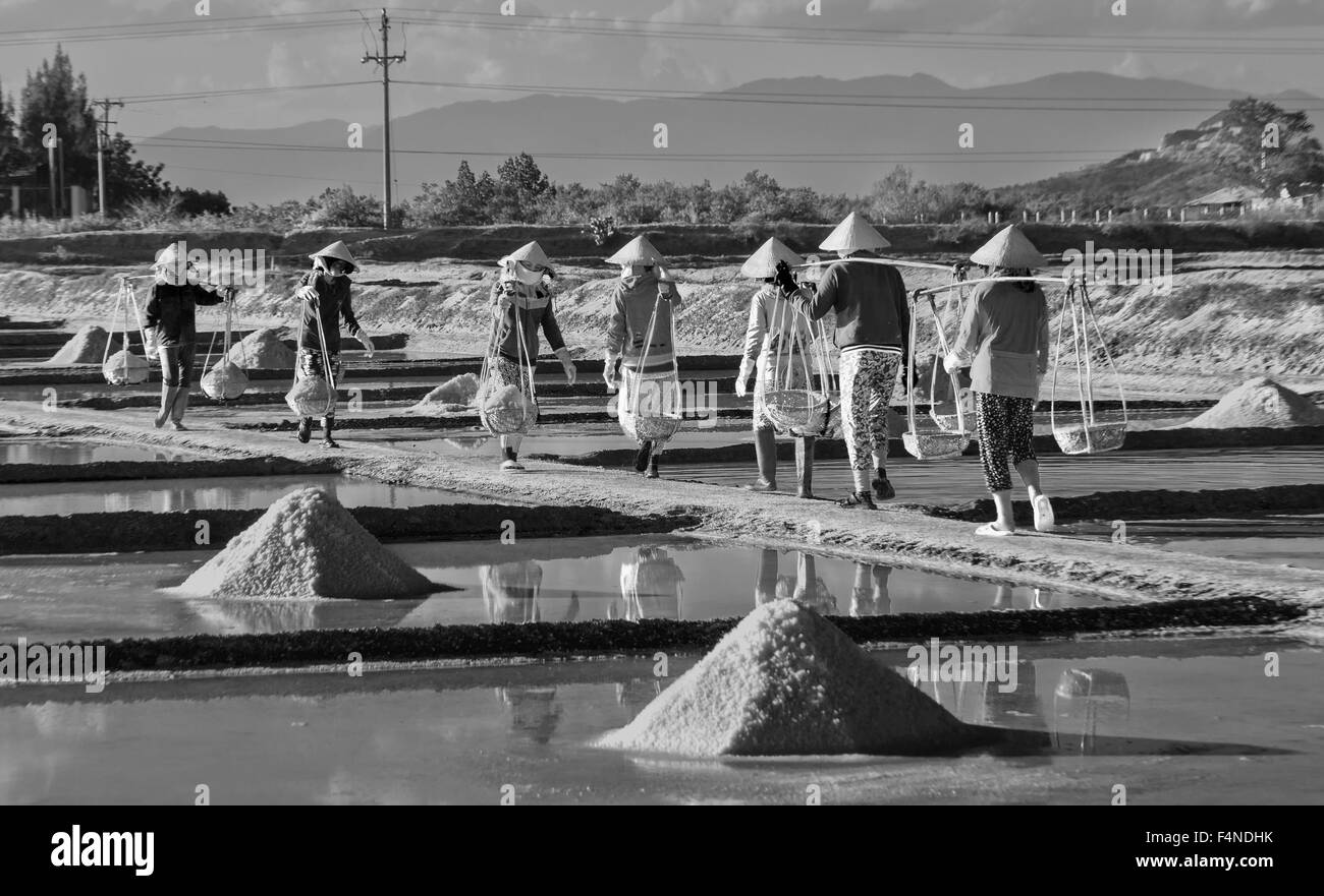 Harvesting salt in the salt pans hi-res stock photography and images ...