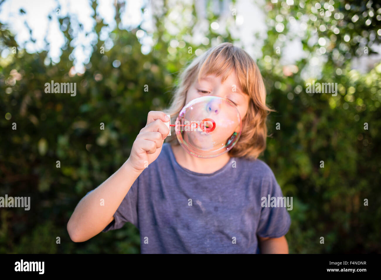 Blond little boy blowing soap bubble Stock Photo - Alamy Blond little boy blowing soap bubble Stock Photo - Alamy