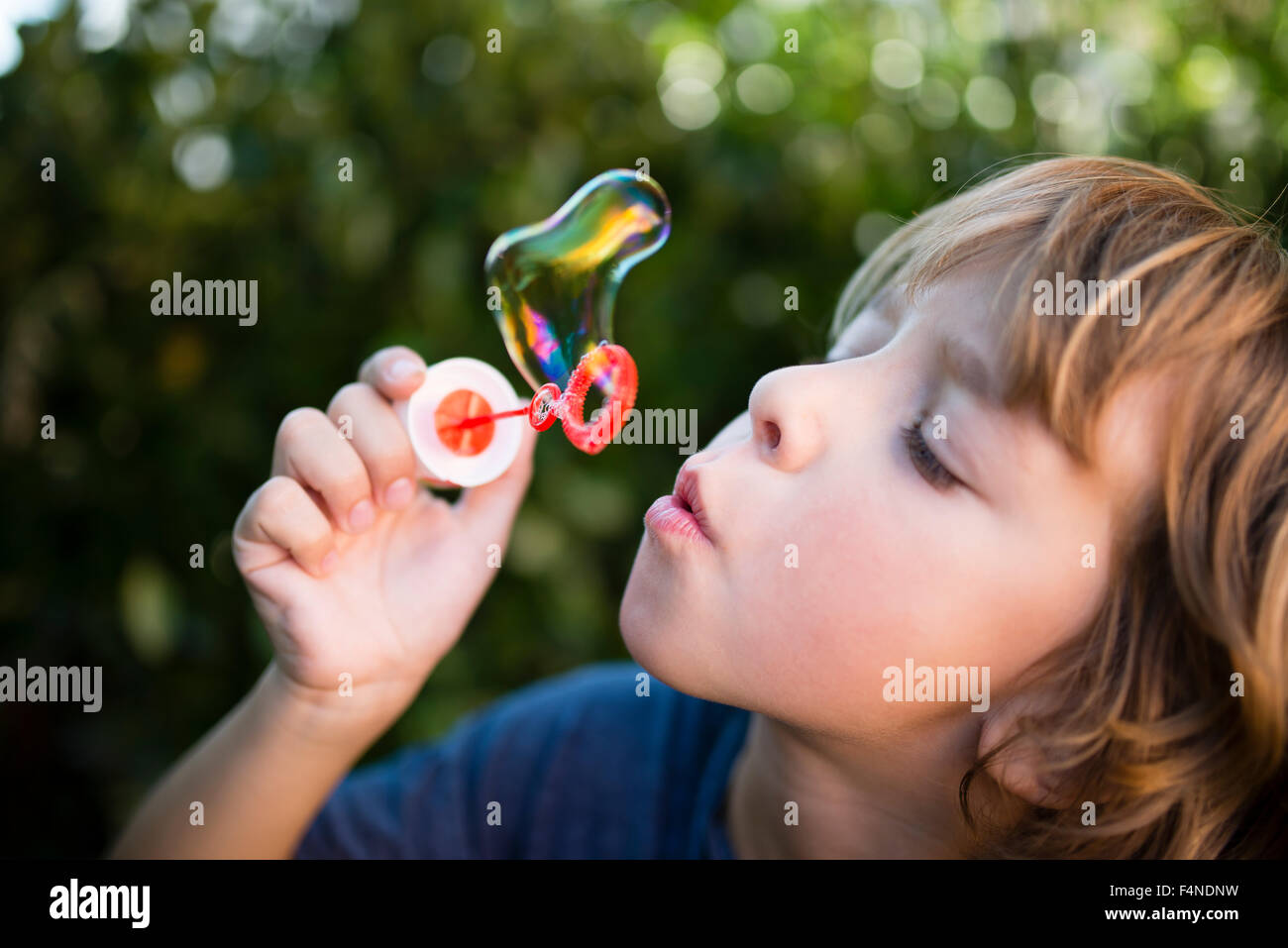 Blond little boy blowing soap bubble Stock Photo - Alamy Blond little boy blowing soap bubble Stock Photo - Alamy