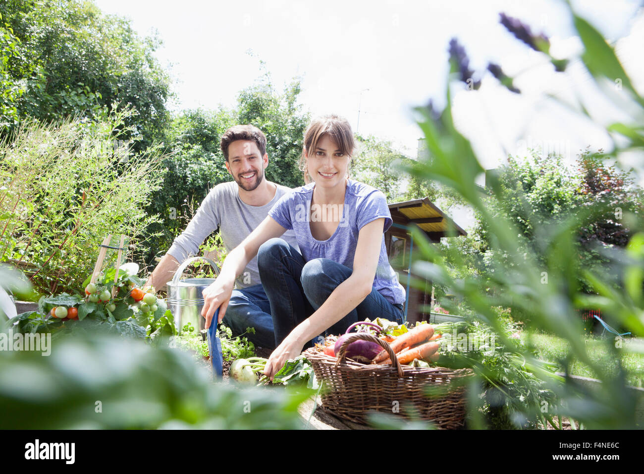 Patch image hi-res stock photography and images - Alamy