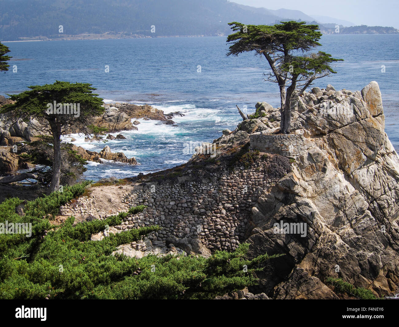 USA, California, Monterey, 17-Mile-Drive, 'Lone Cypress', Cypress tree ...