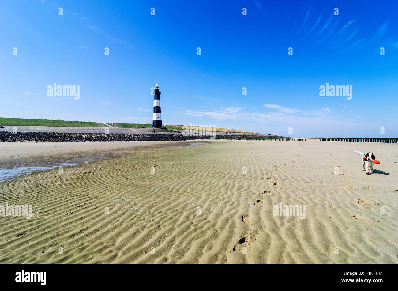 Lighthouse at beach of breskens hi-res stock photography and images - Alamy