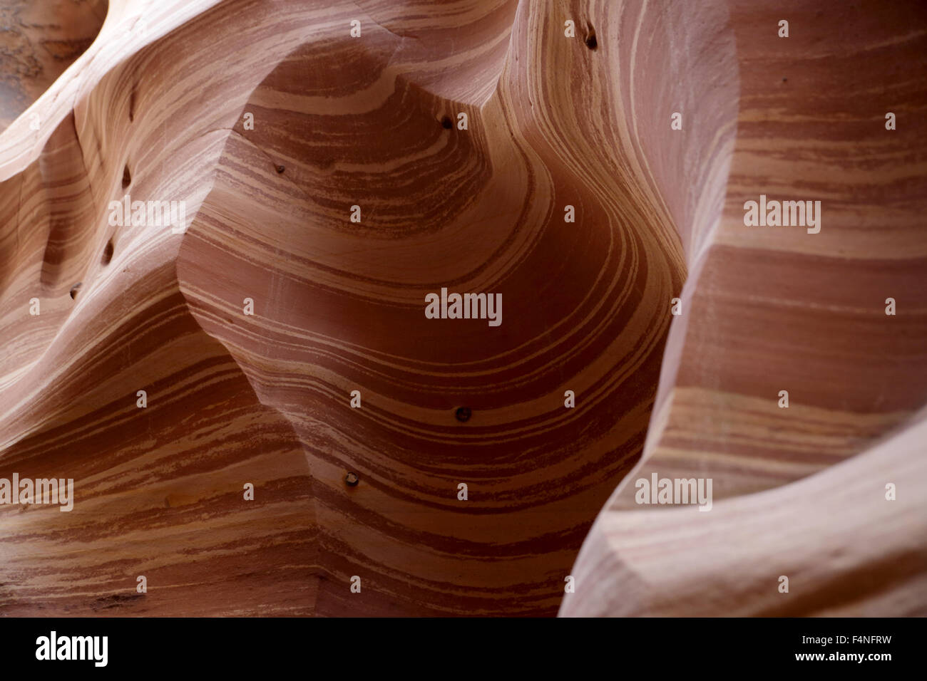 Zebra Slot Canyon Grand Staircase Escalante National Monument Stock ...
