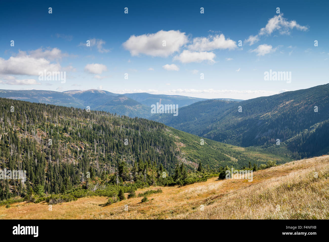 Krkonose National Park, Giant Mountains National Park, Eastern Bohemia ...