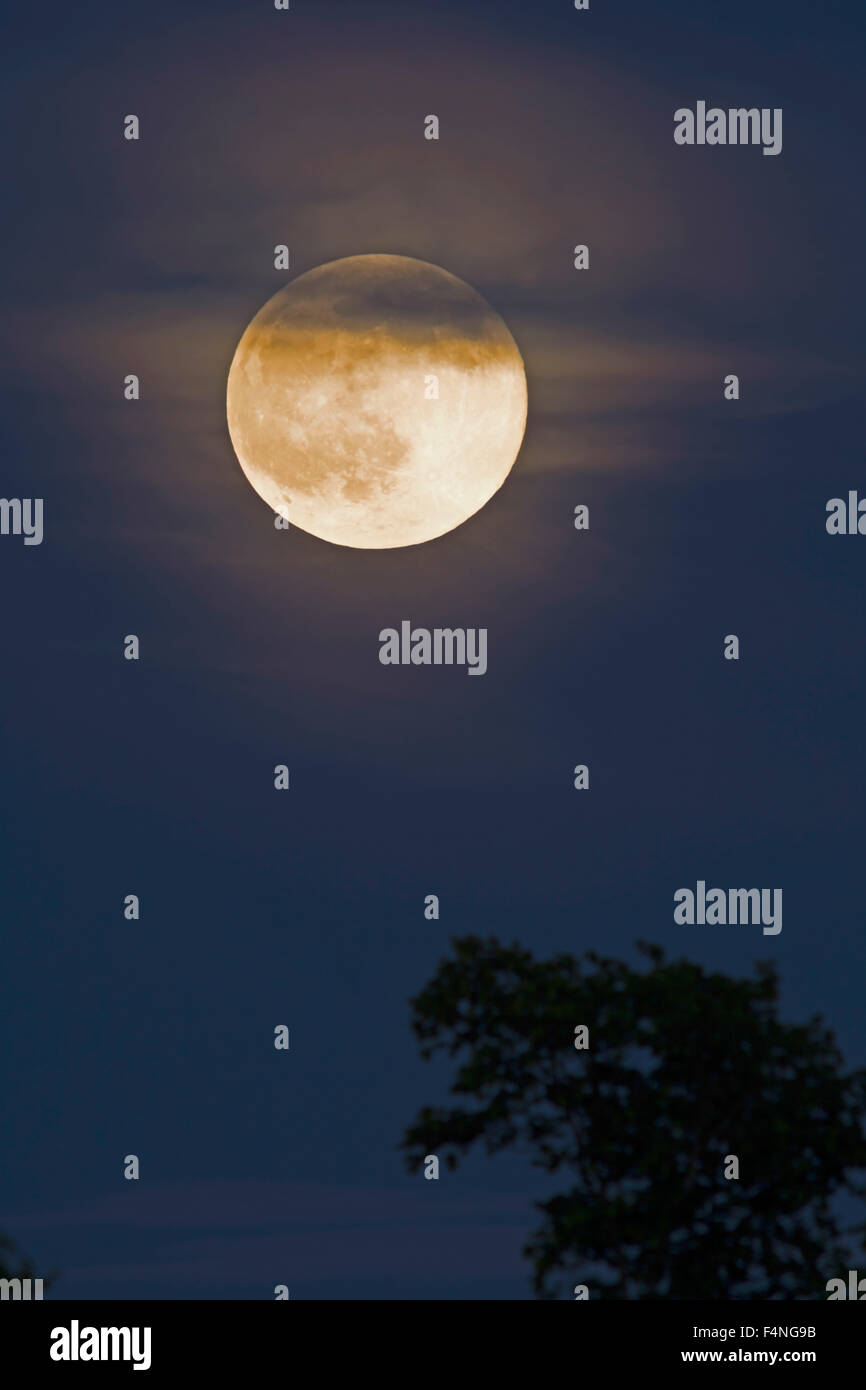 Germany, rise of full moon Stock Photo - Alamy