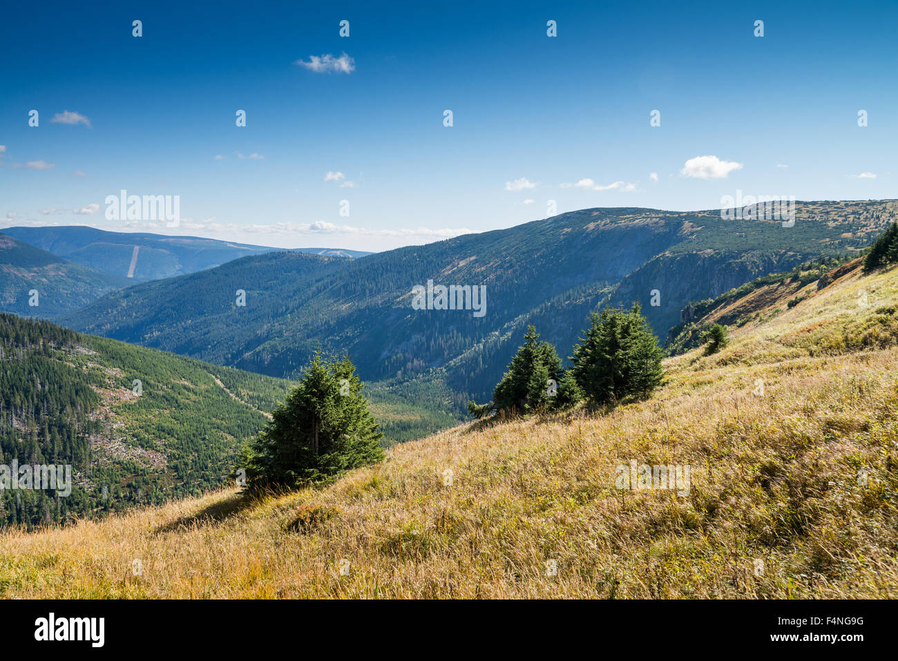 Krkonose National Park, Giant Mountains National Park, Eastern Bohemia ...
