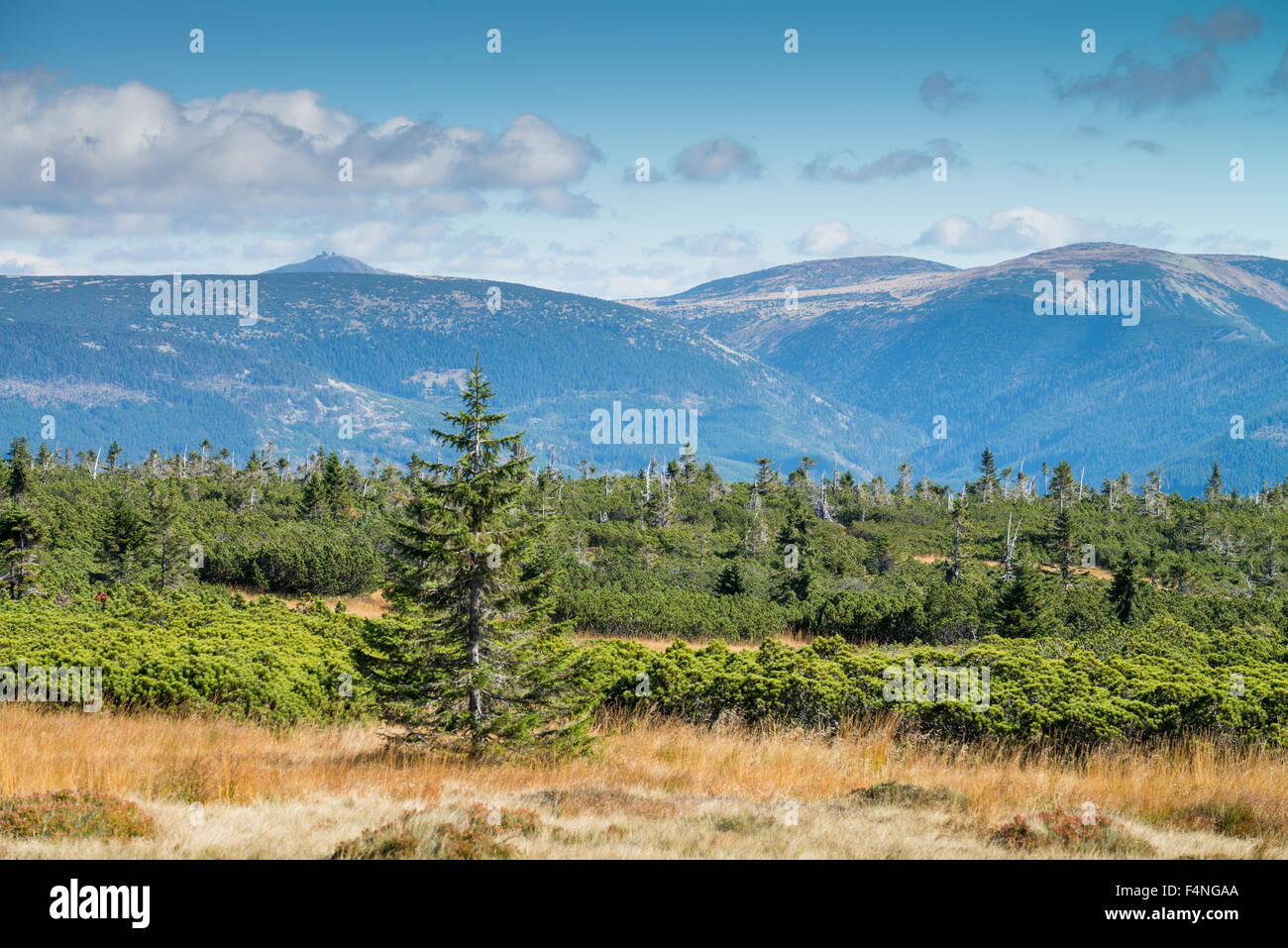 Krkonose National Park, Giant Mountains National Park, Eastern Bohemia ...