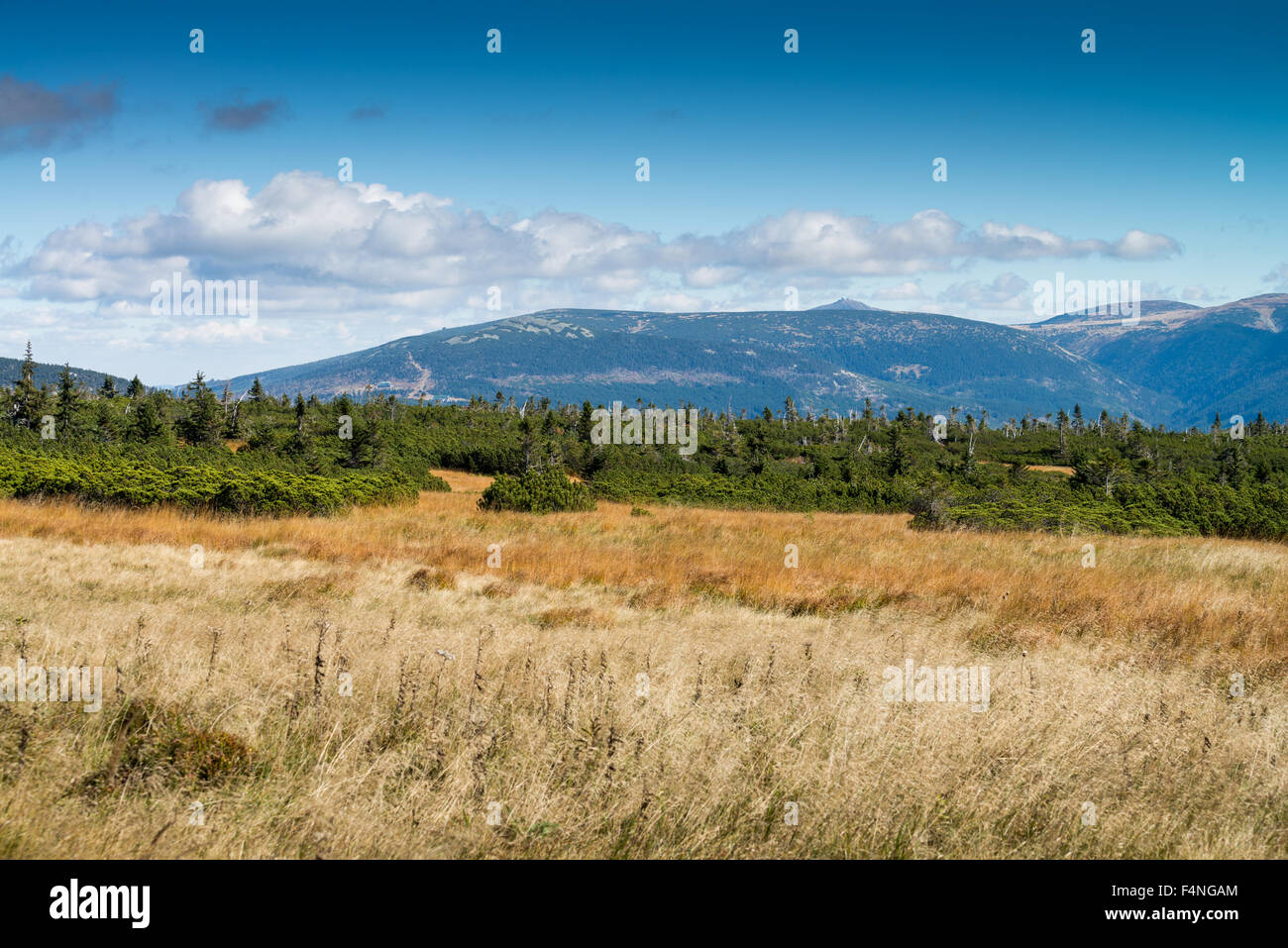 Krkonose National Park, Giant Mountains National Park, Eastern Bohemia ...