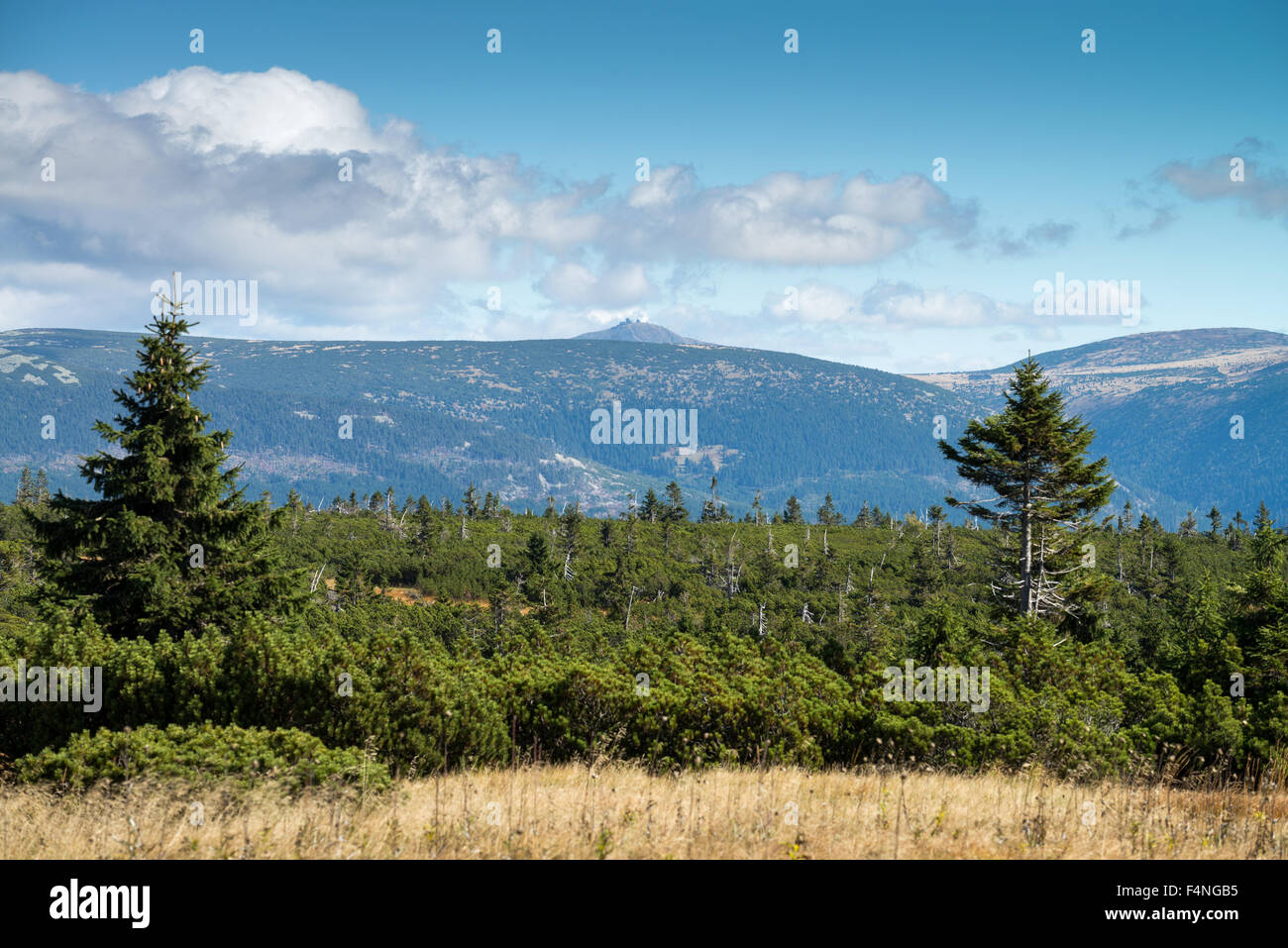 Krkonose National Park, Giant Mountains National Park, Eastern Bohemia ...