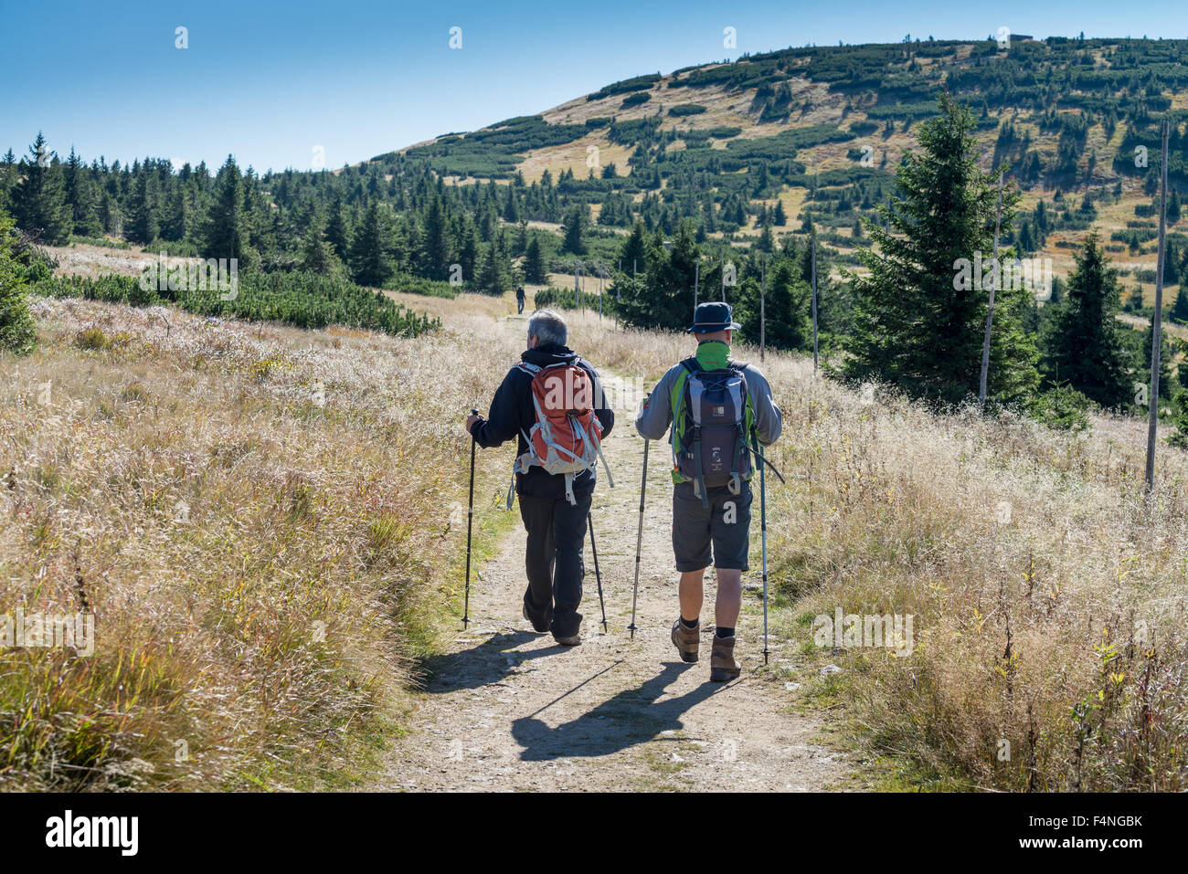 Krkonose National Park, Giant Mountains National Park, Eastern Bohemia ...