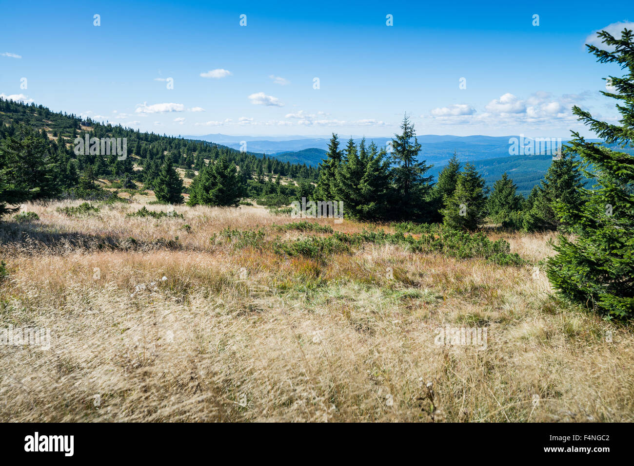 Krkonose National Park, Giant Mountains National Park, Eastern Bohemia ...