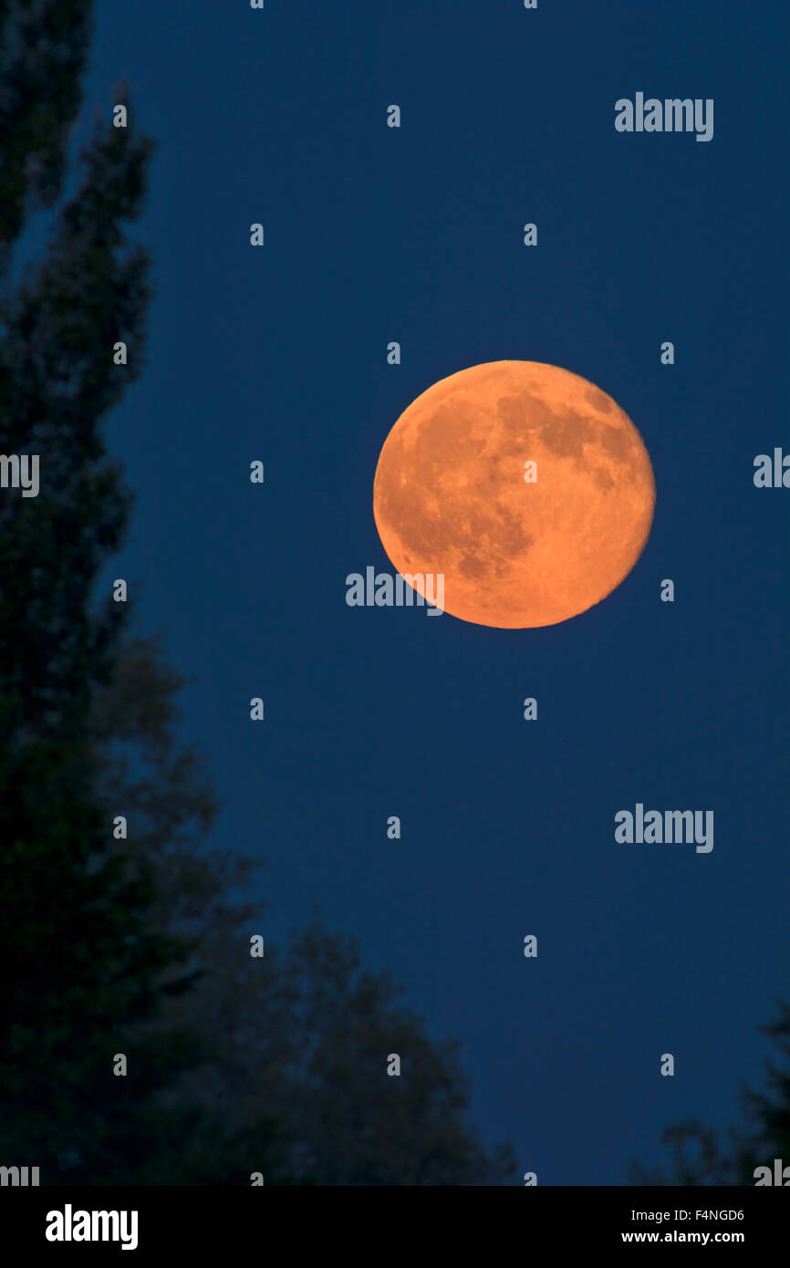 Germany, rise of full moon Stock Photo - Alamy