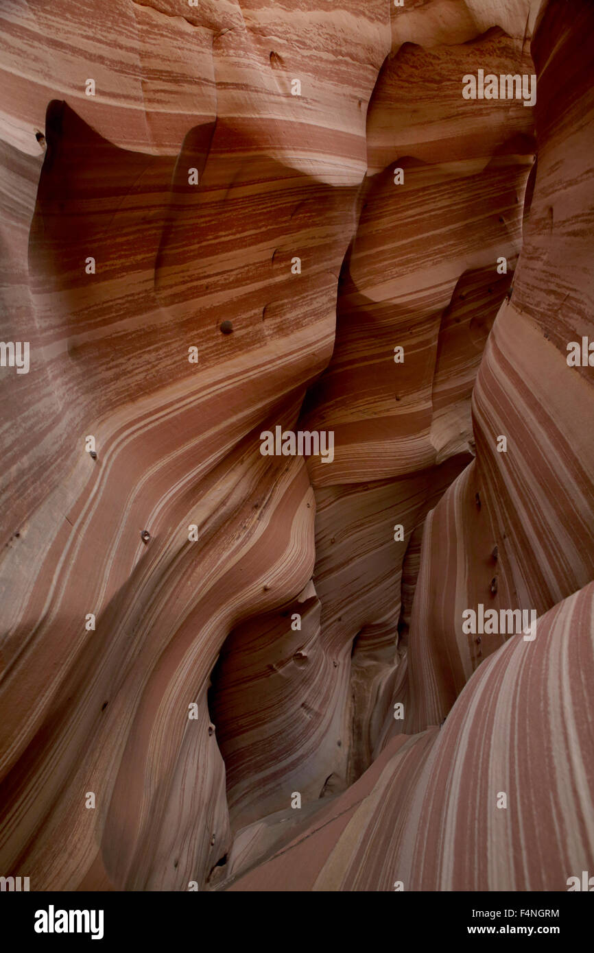 Zebra Slot Canyon Grand Staircase Escalante National Monument Stock ...