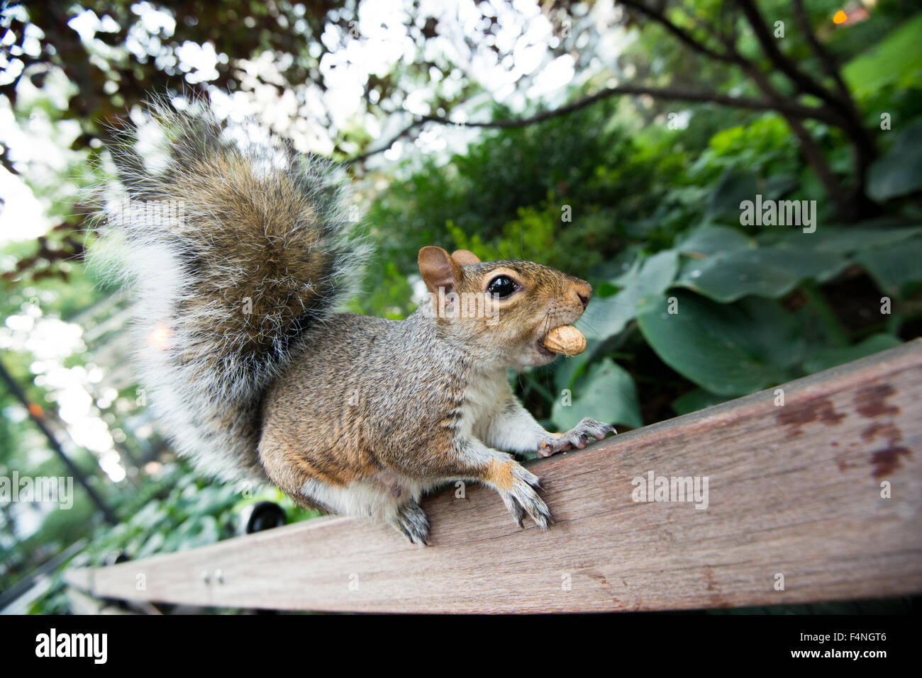 Madison square public square hi-res stock photography and images - Alamy