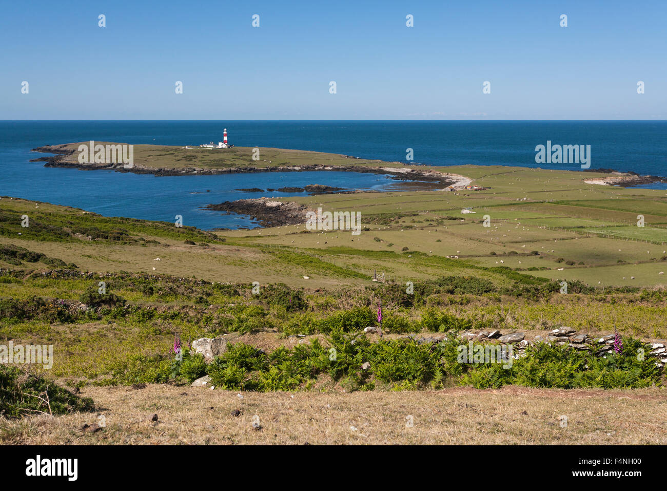 Landscape view of Bardsey Island, coastline and skyline, Bardsey Island ...