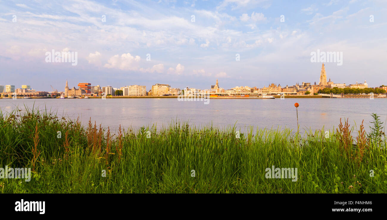 Belgium, Flanders, Antwerp, Cityview and Scheldt river, panorama Stock ...