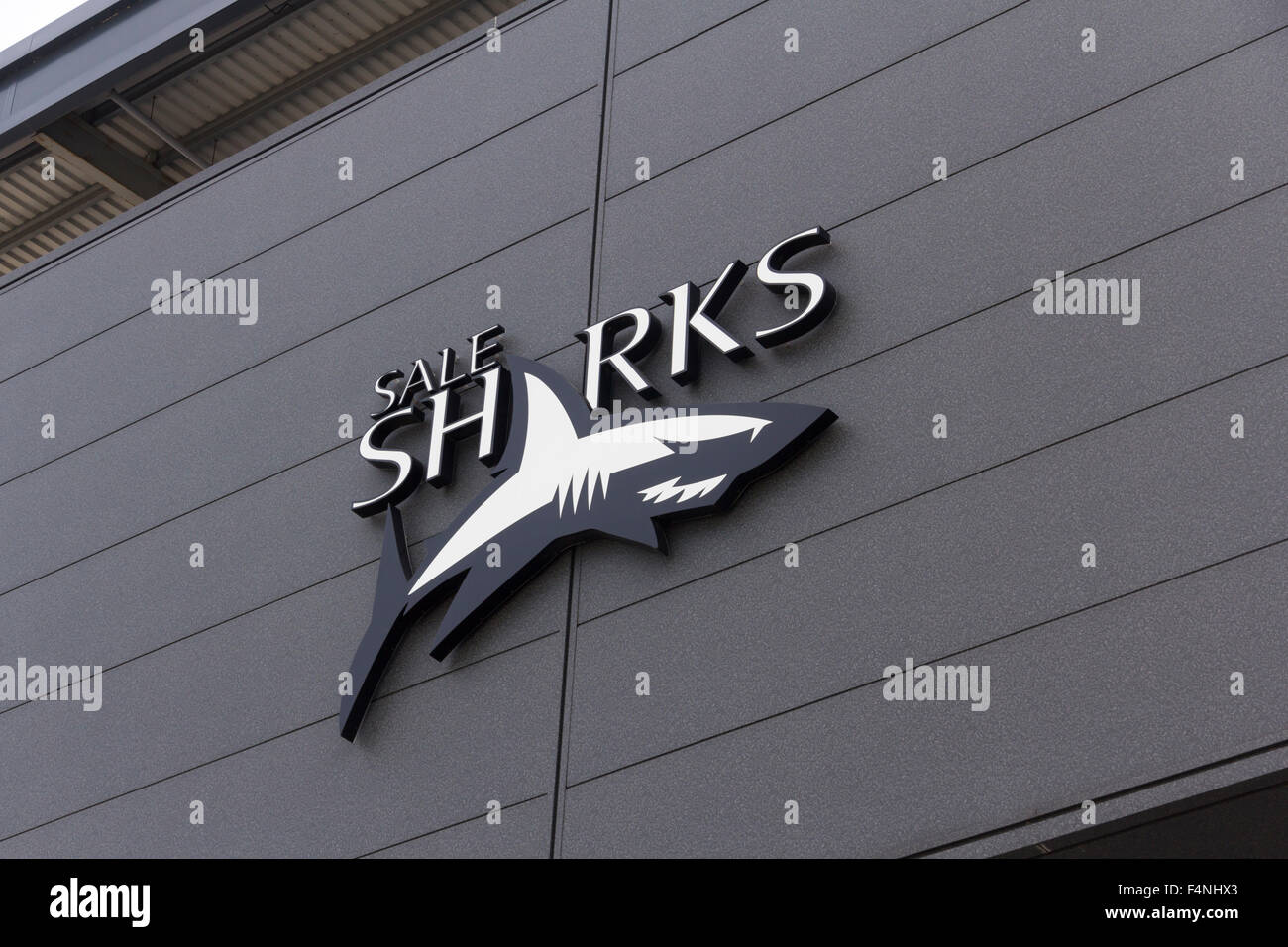 Sale sharks hi-res stock photography and images - Alamy