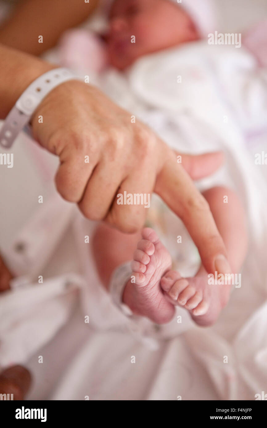 Woman's hand compared to newborn baby's feet Stock Photo - Alamy