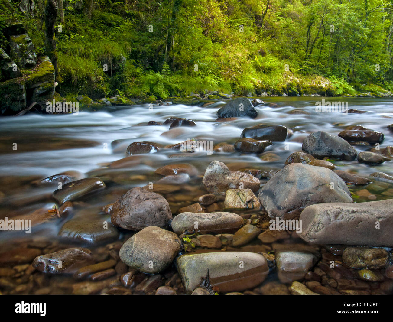 Esva river in Asturias. Spain Stock Photo - Alamy