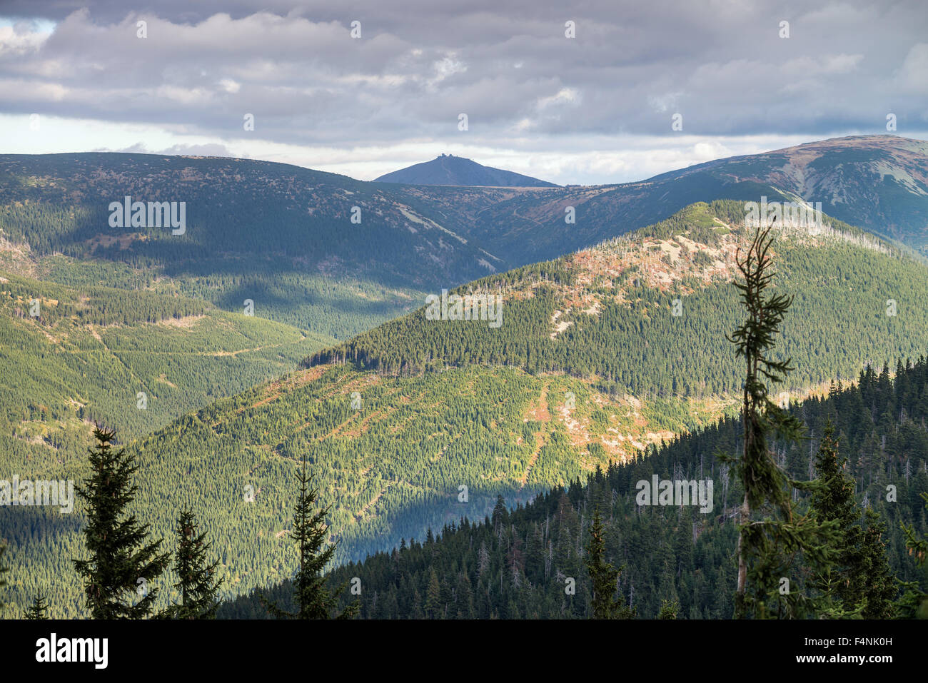 Krkonose National Park, Giant Mountains National Park, Eastern Bohemia ...