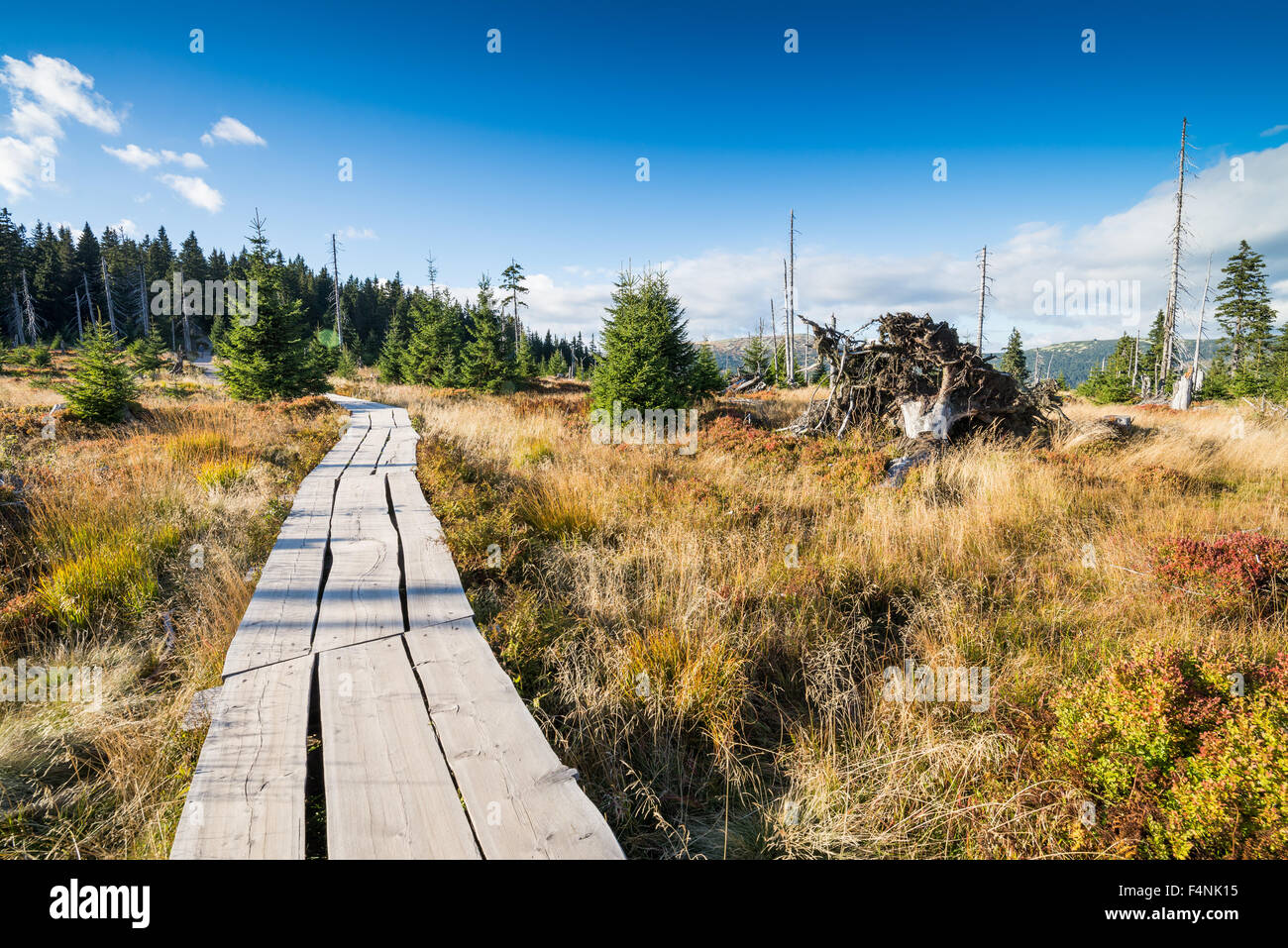 Krkonose National Park, Giant Mountains National Park, Eastern Bohemia ...